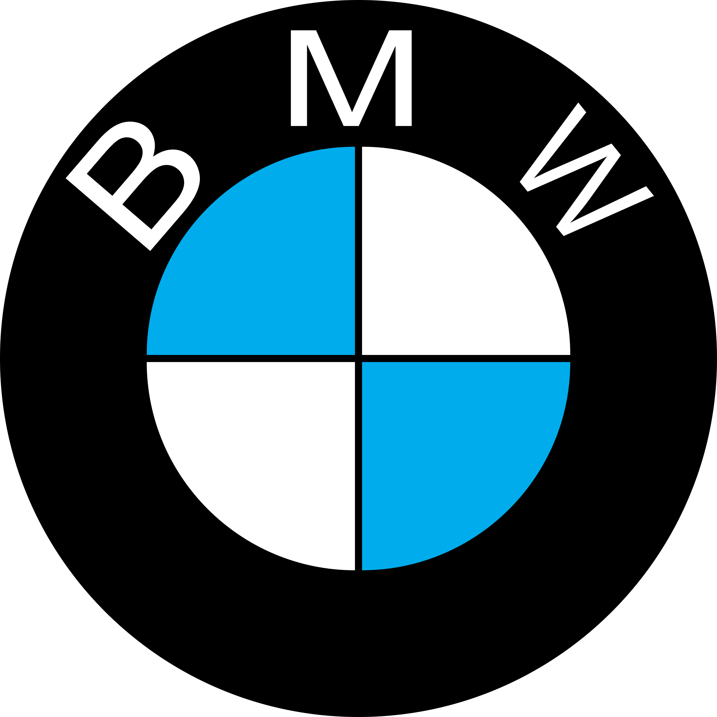 BMW WDS Online